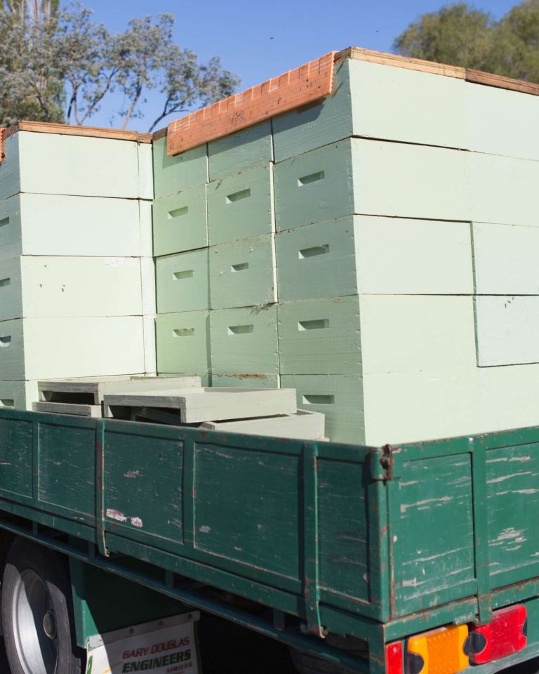 Tweeddales Honey | New Zealand